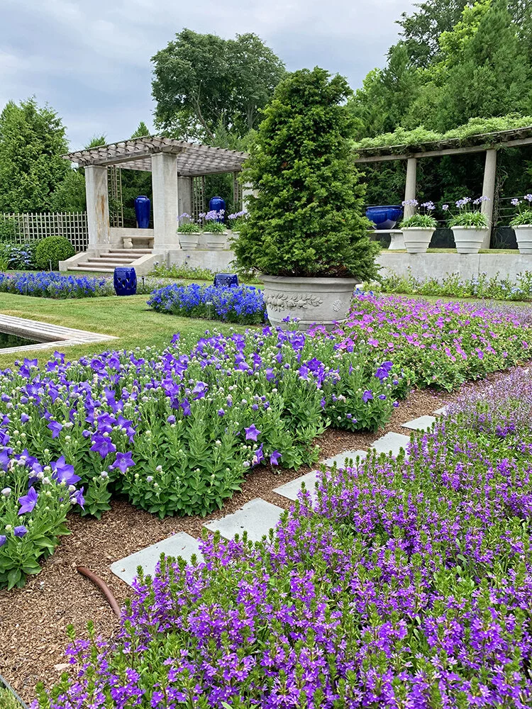Newport's Blue Garden — Enchanted Gardens
