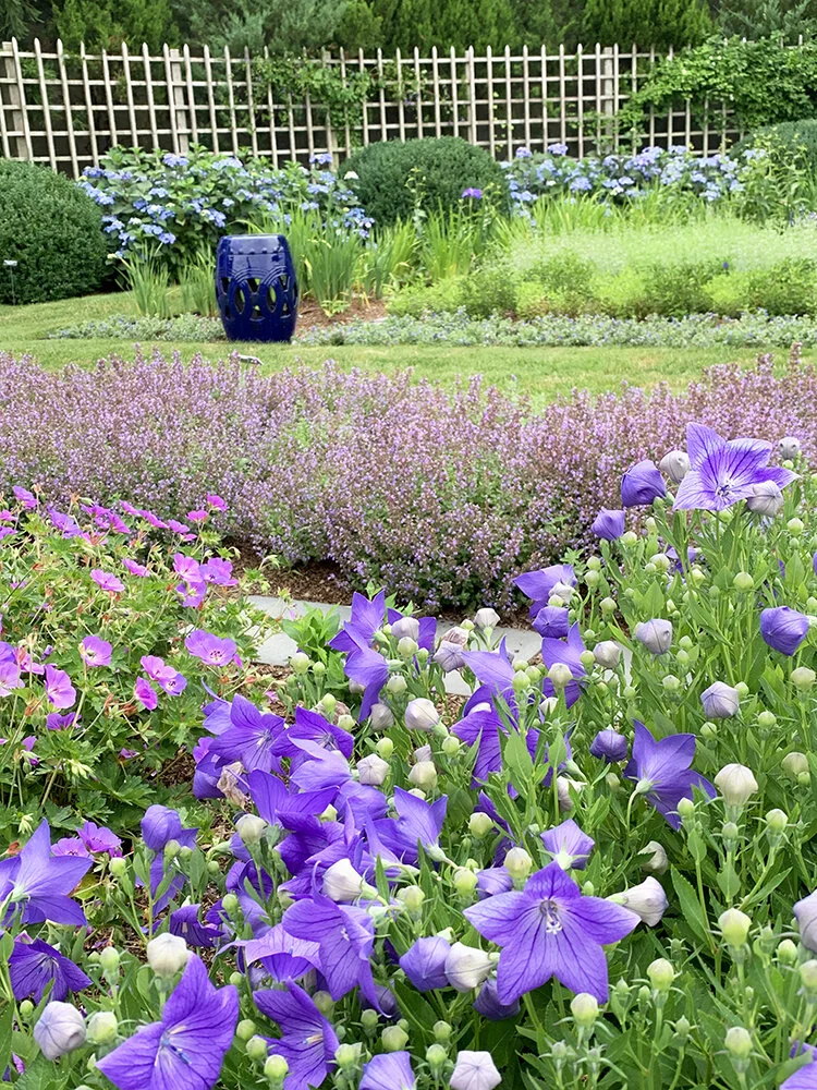 Newport's Blue Garden — Enchanted Gardens