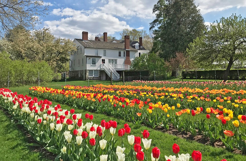 Best Spring Bulb Displays in the Northeast — Enchanted Gardens