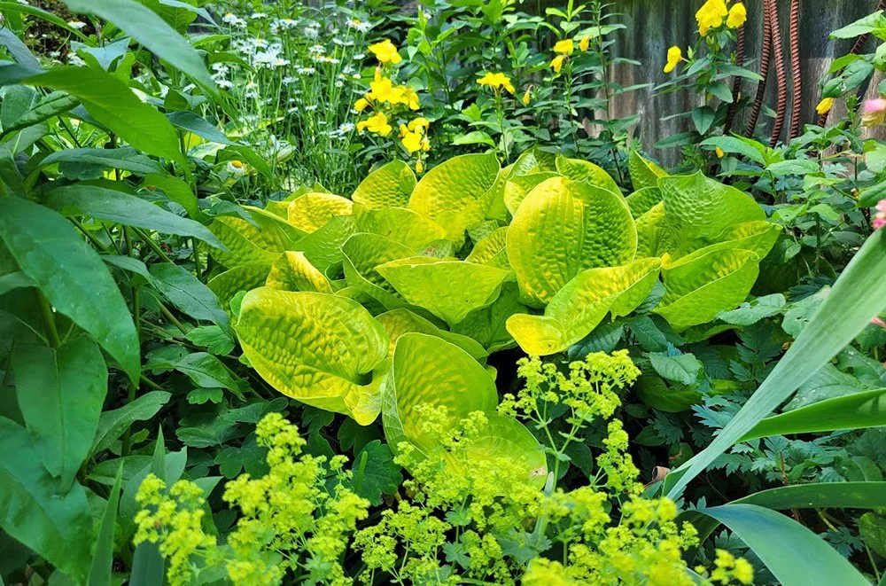 It’s All in the Company They Keep — Enchanted Gardens