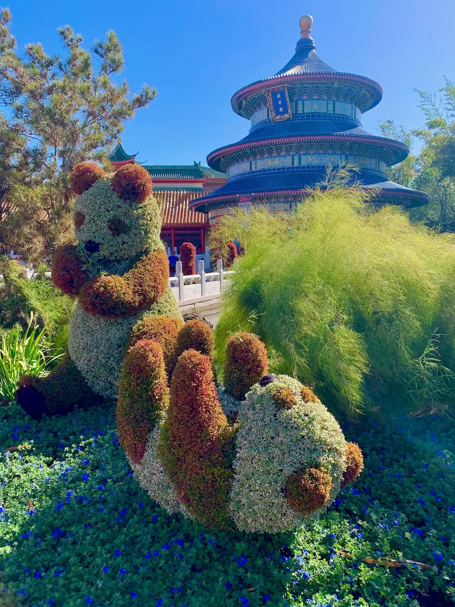 Gardens Of The Disney World