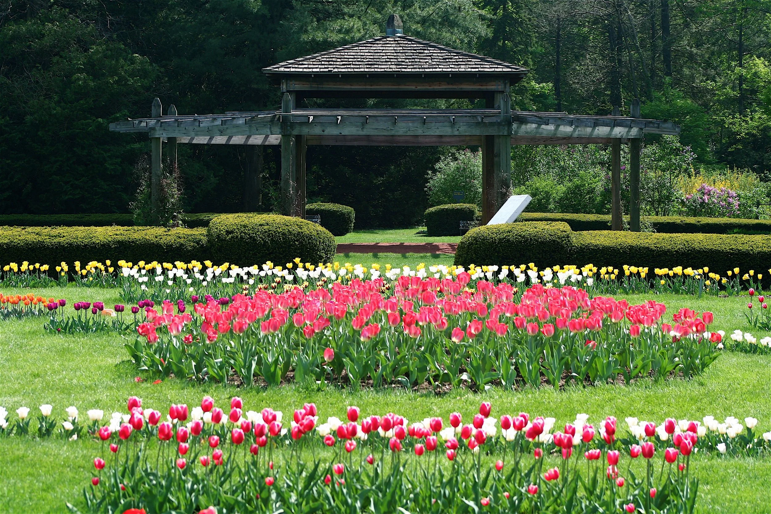 Best Spring Bulb Displays in the Northeast — Enchanted Gardens