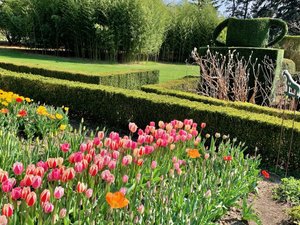 Best Spring Bulb Displays in the Northeast — Enchanted Gardens