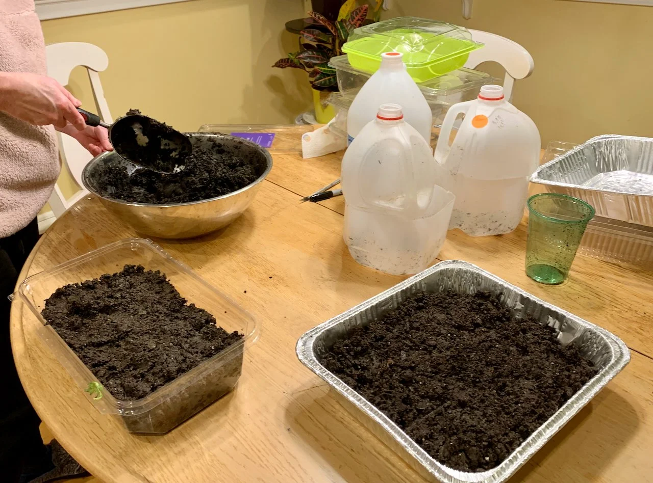 Winter Sowing for a Bountiful Harvest — Enchanted Gardens