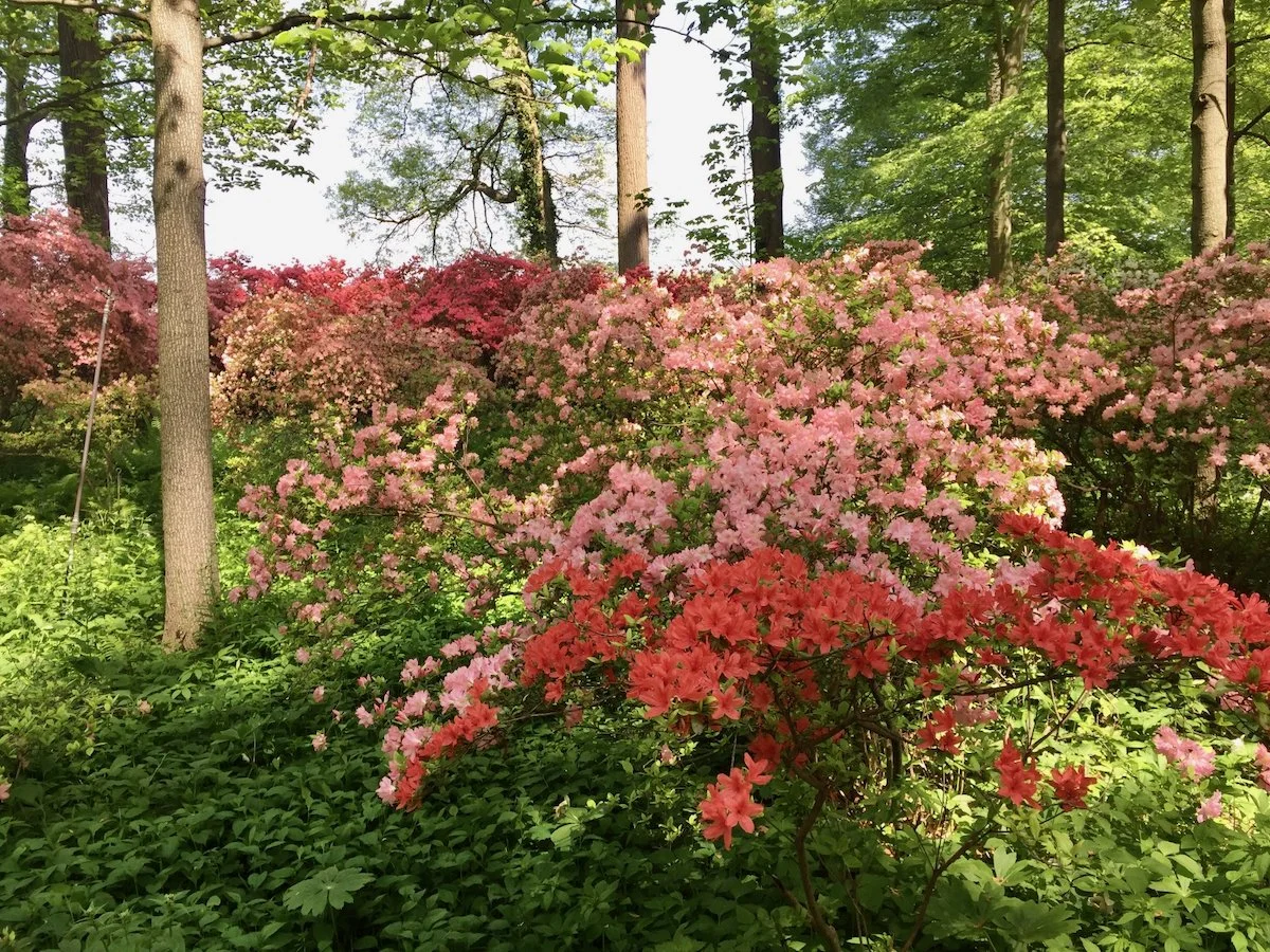 Winterthur: A Glorious du Pont Garden — Enchanted Gardens