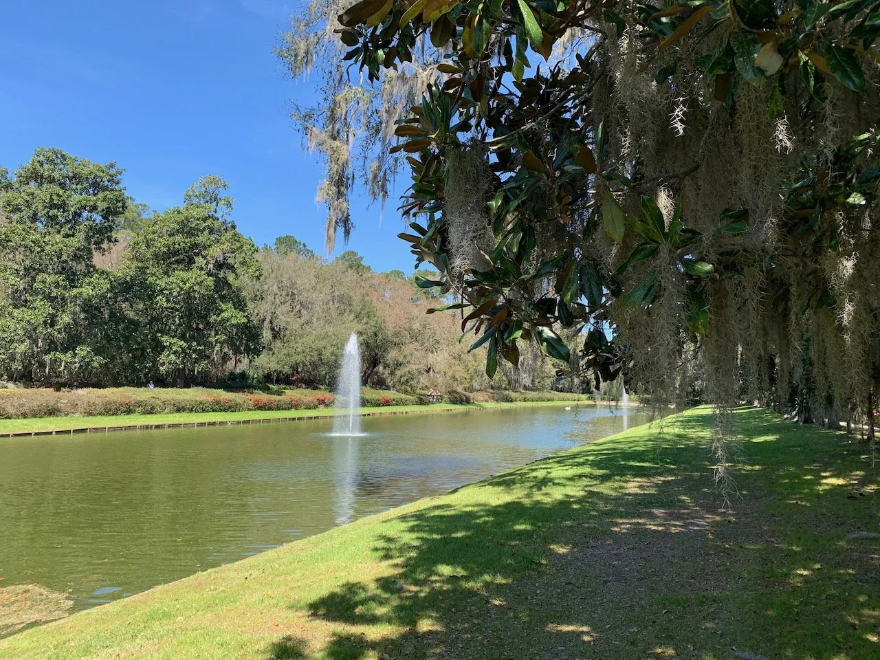 The Historic Gardens of Middleton Place — Enchanted Gardens