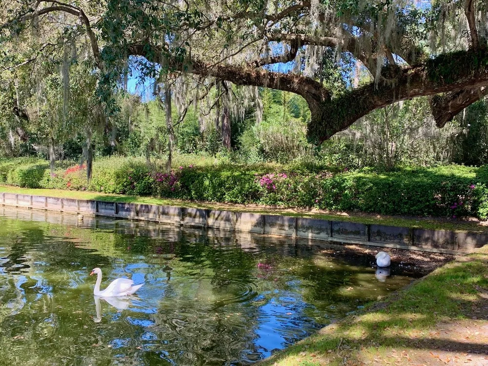 The Historic Gardens of Middleton Place — Enchanted Gardens