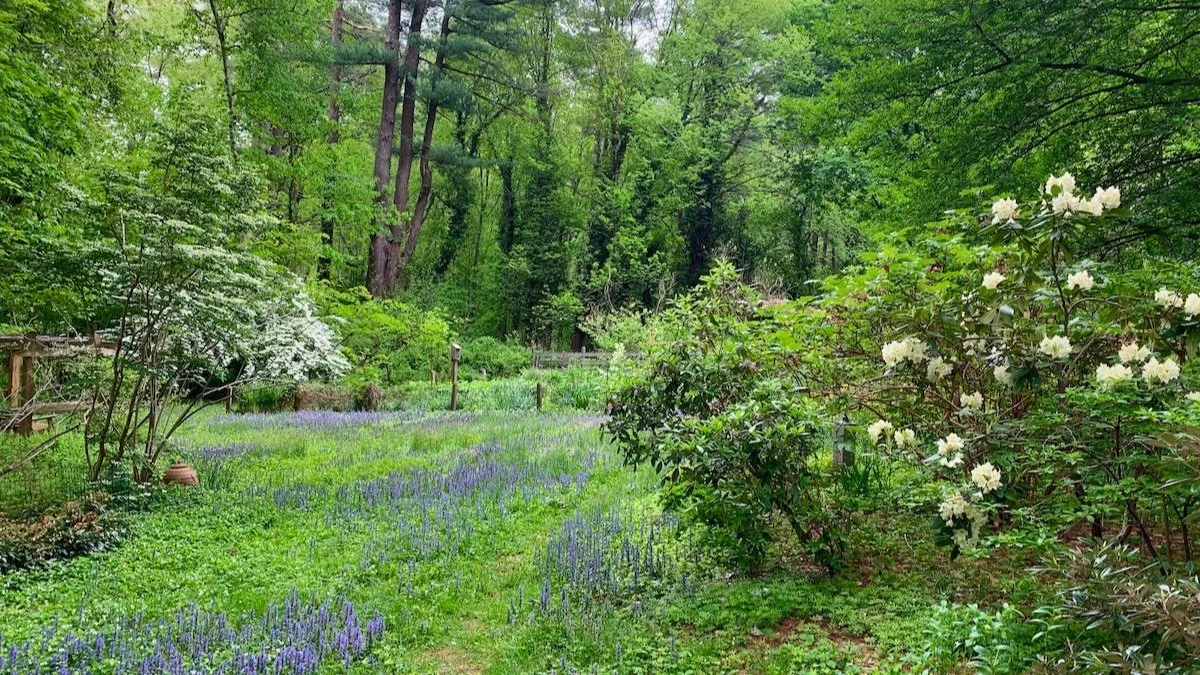 The Clark Garden: Working With the Land | Guildford Cycads