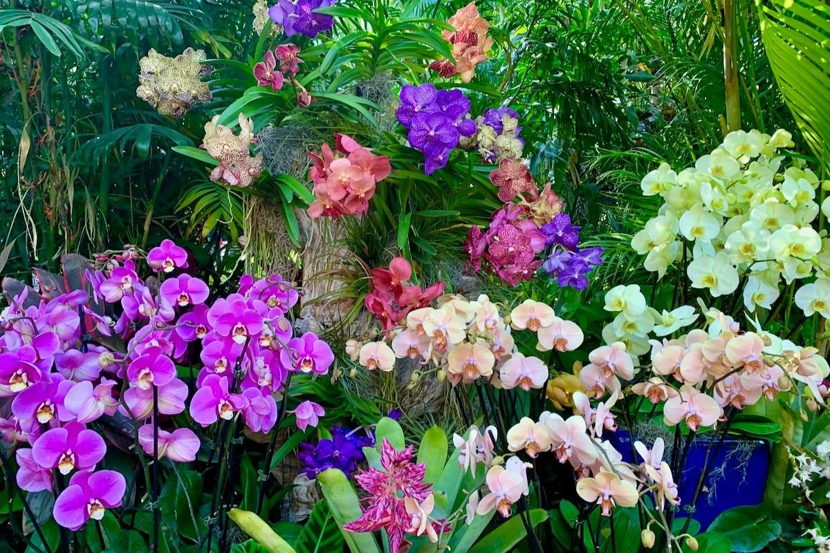 Disney World Landscaping Ideas