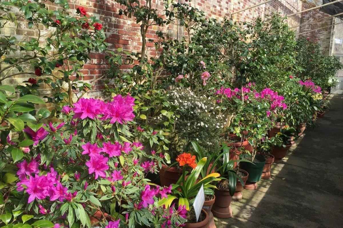 Blog — Enchanted Gardens