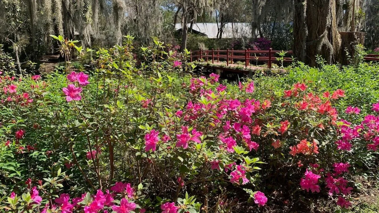 Charleston & Savannah Tour 2024 — Enchanted Gardens