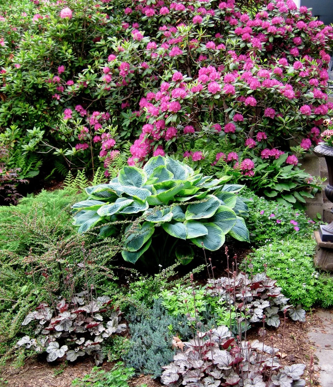 Big Rhodys — Enchanted Gardens