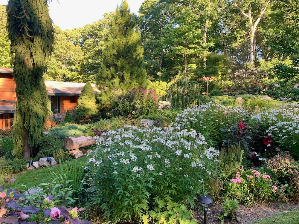 Antonia's Garden — Enchanted Gardens
