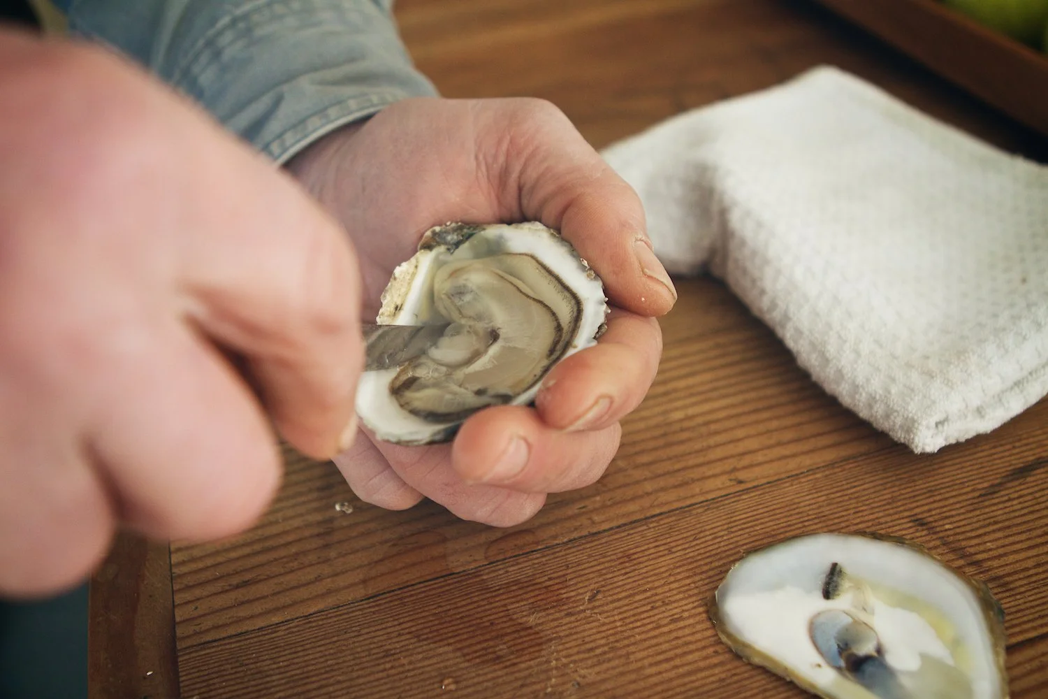 How to Open an Oyster — Fishers Island Oyster Farm
