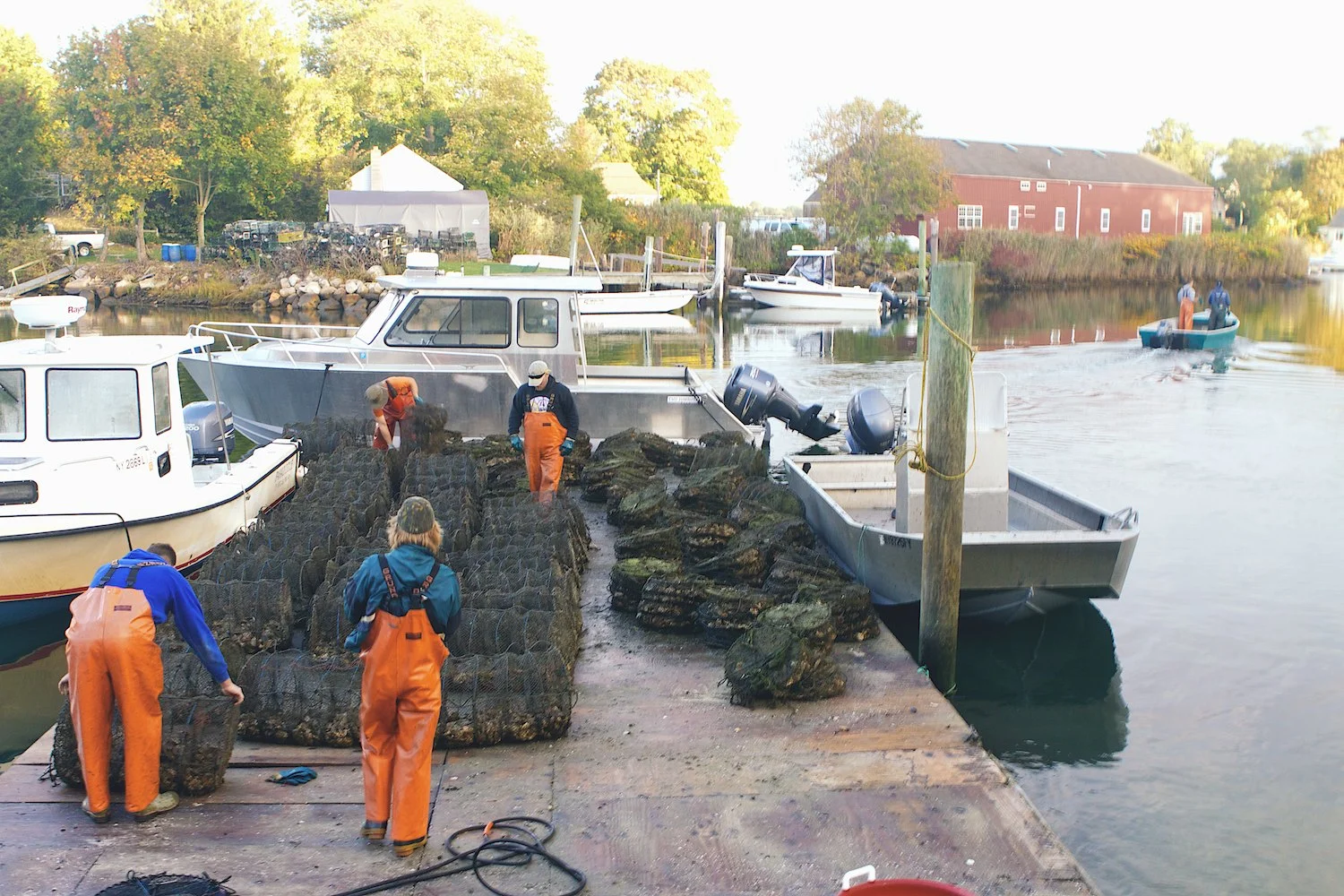 Ocean Grow Out — Fishers Island Oyster Farm