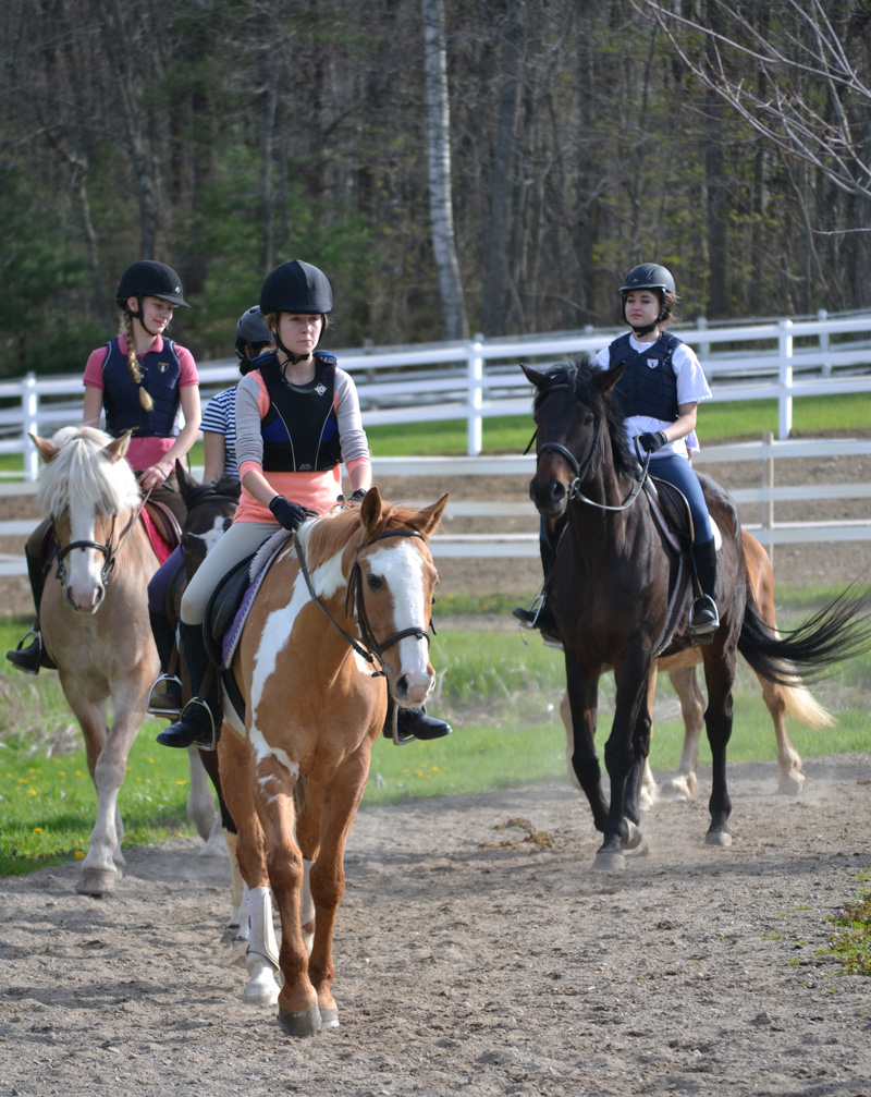 Hunters Haven Farm — Lessons