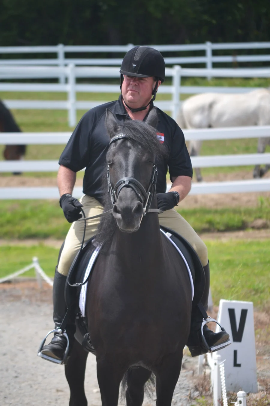 Hunters Haven Farm — Boarding