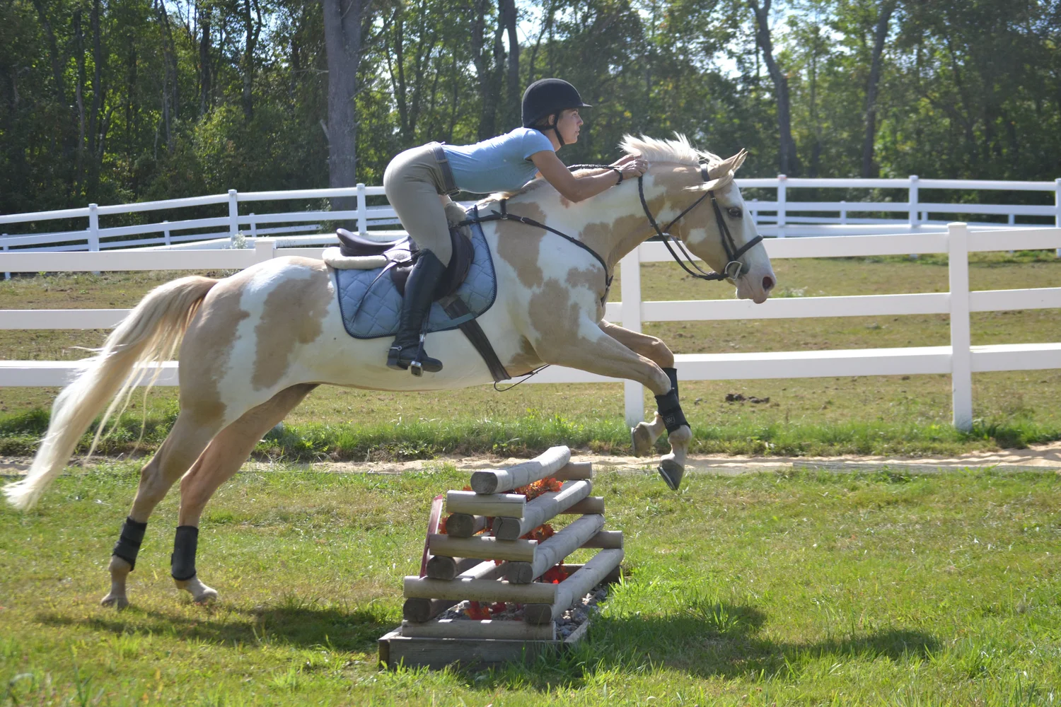 Hunters Haven Farm — Rates