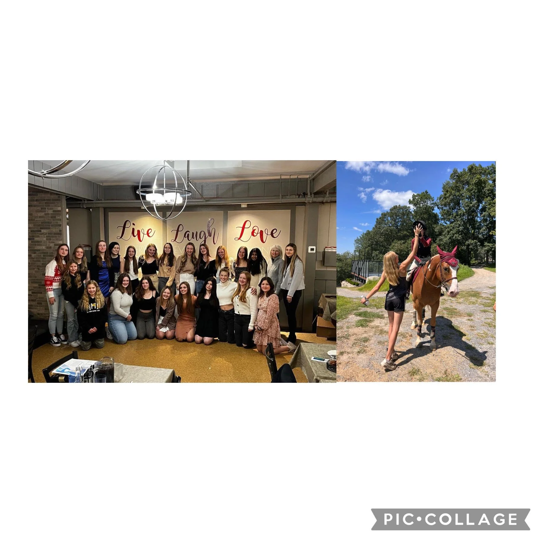 Hunters Haven Farm — Show Team