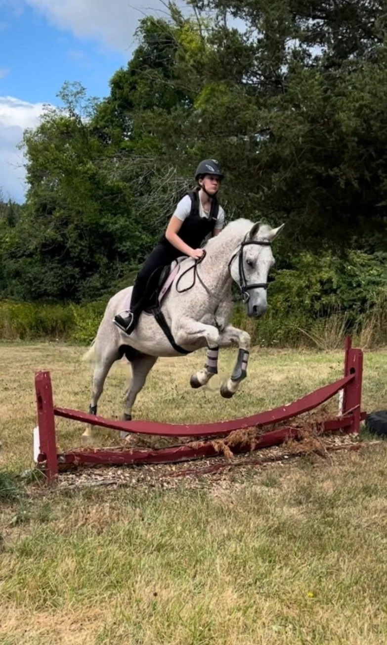 Hunters Haven Farm — Sale & Lease