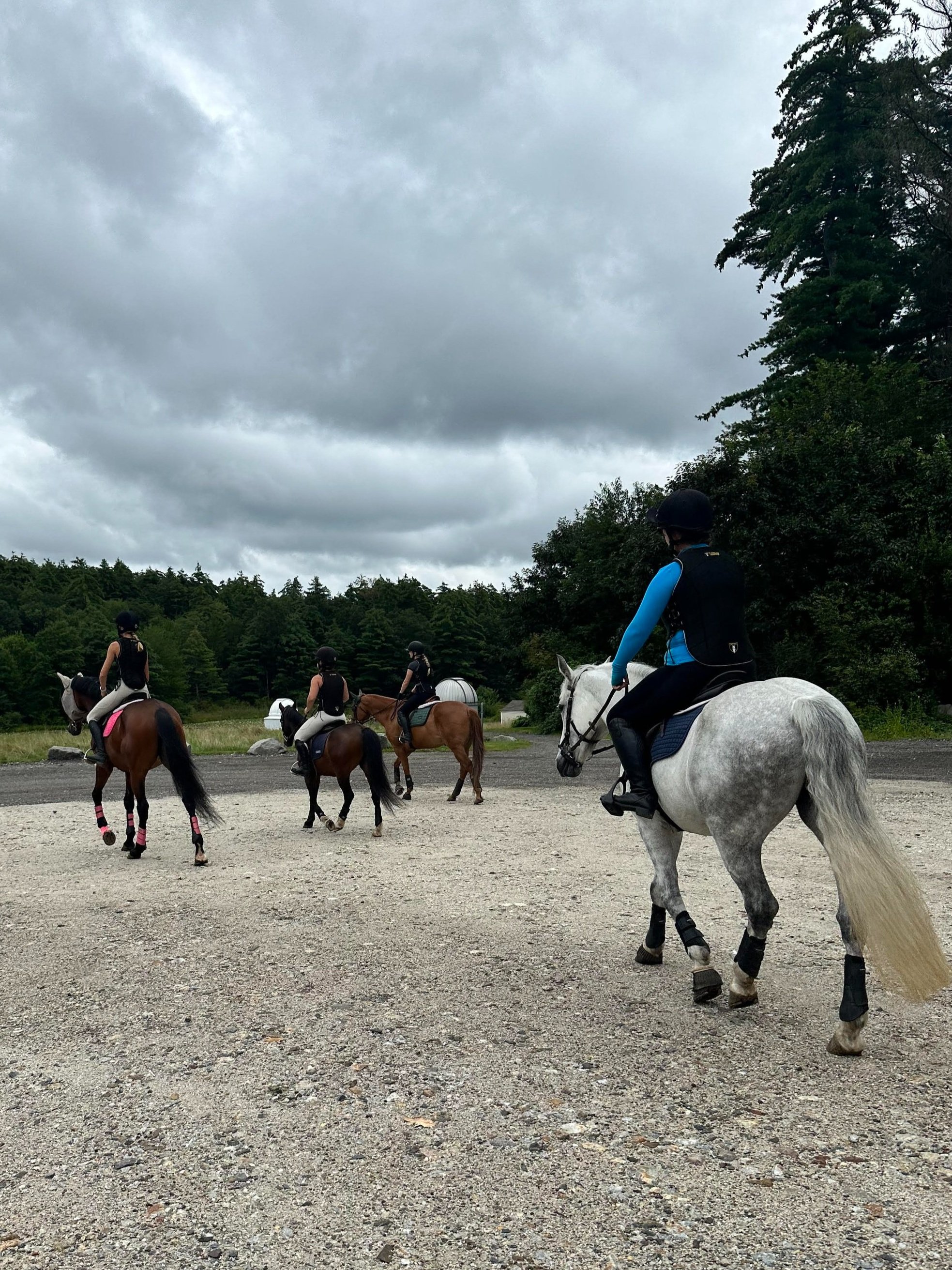 Hunters Haven Farm — Show Team