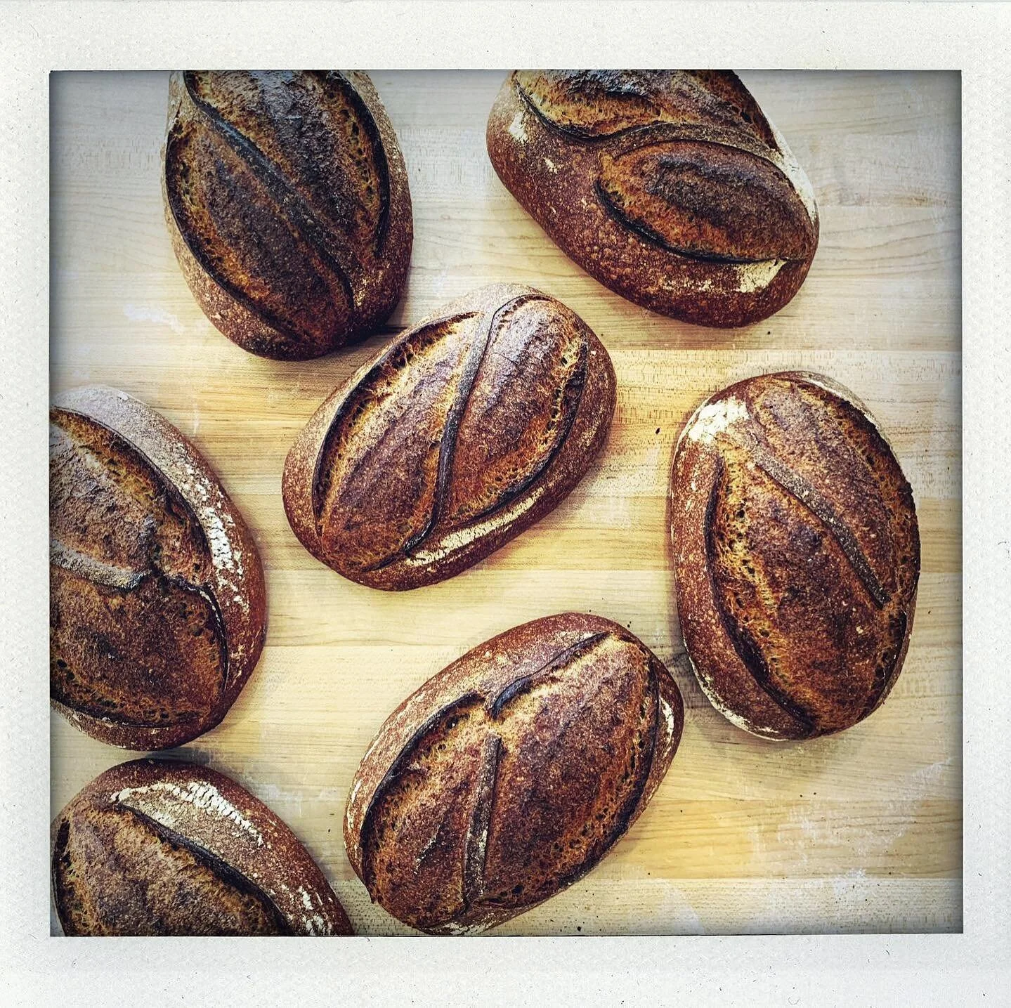 Elmore Mountain Bread