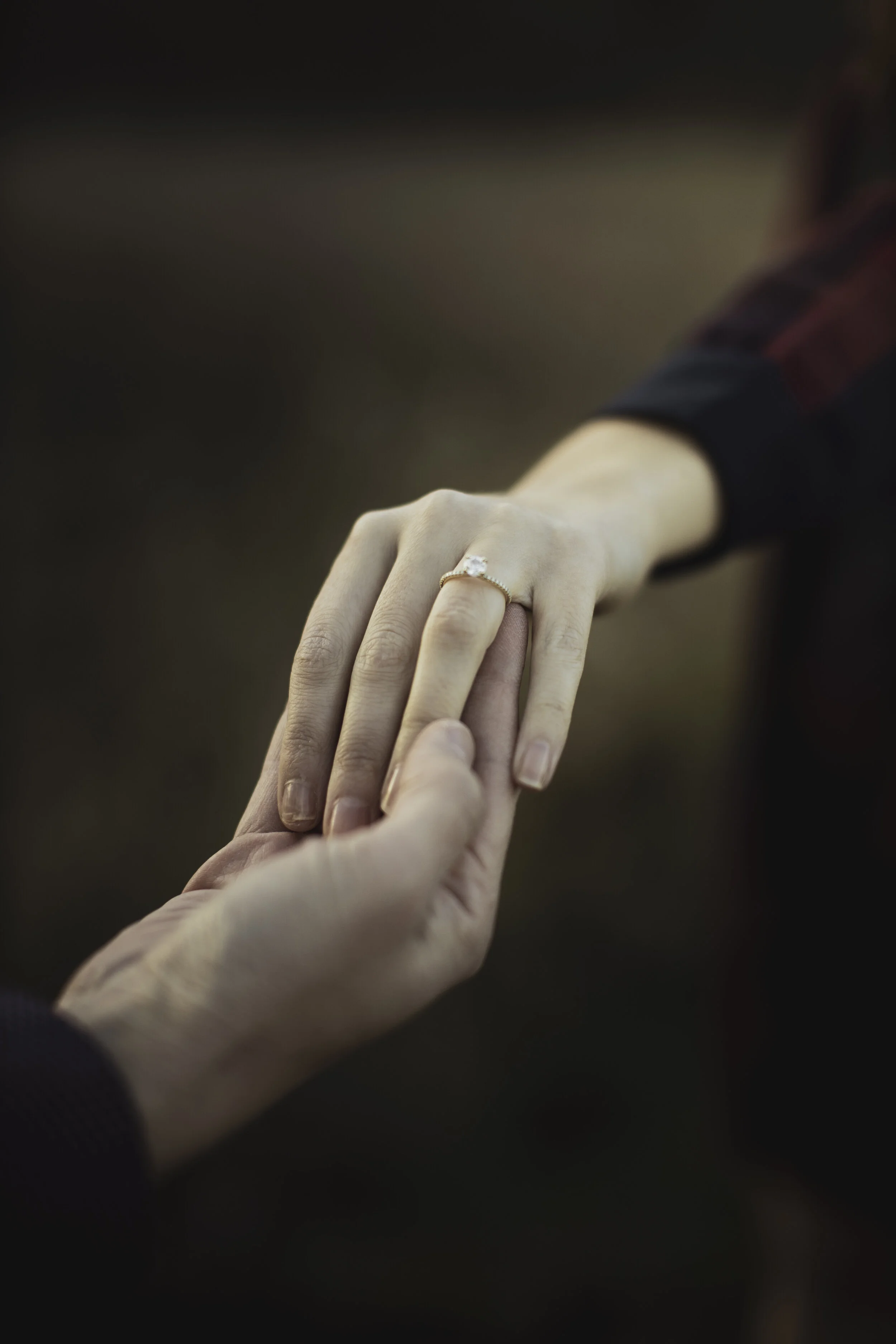 HARTWIG FILM COMPANY