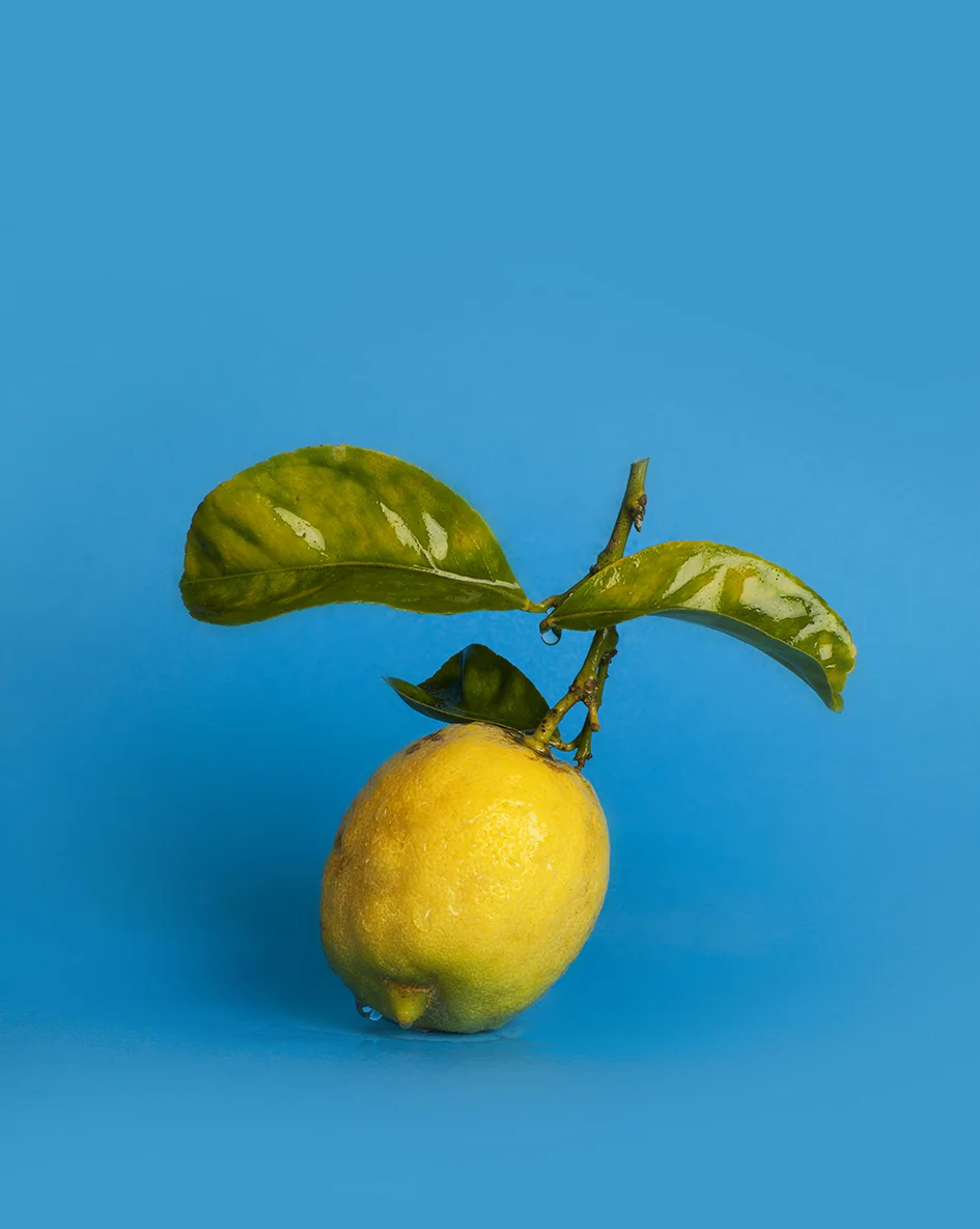 STUDY: Home — JONATHAN CAMERON