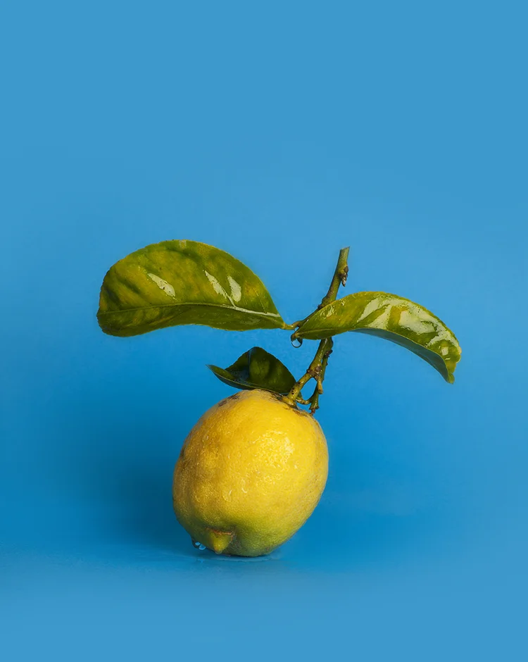 STUDY: Home — JONATHAN CAMERON