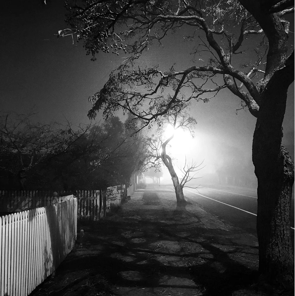 Edinburgh Street — JONATHAN CAMERON