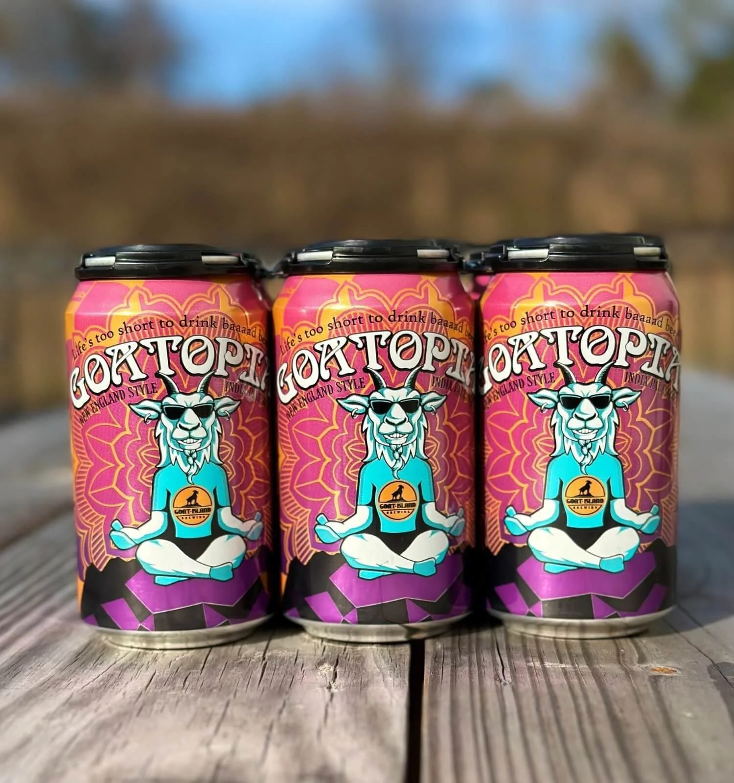 Top Microbrewery in Alabama | Goat Island Brewing