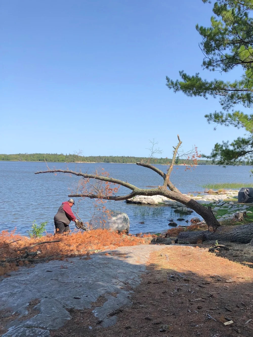 Planned Improvements — Tamarack Island Wilderness Lodge
