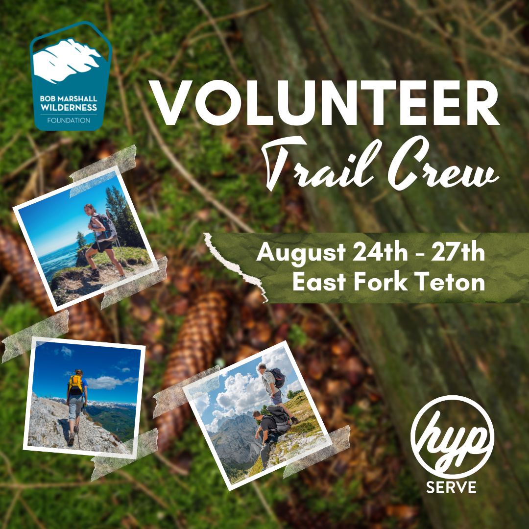 Events — Helena Young Professionals