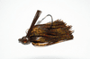 Poison Tail Jigs — Bass Team Tackle