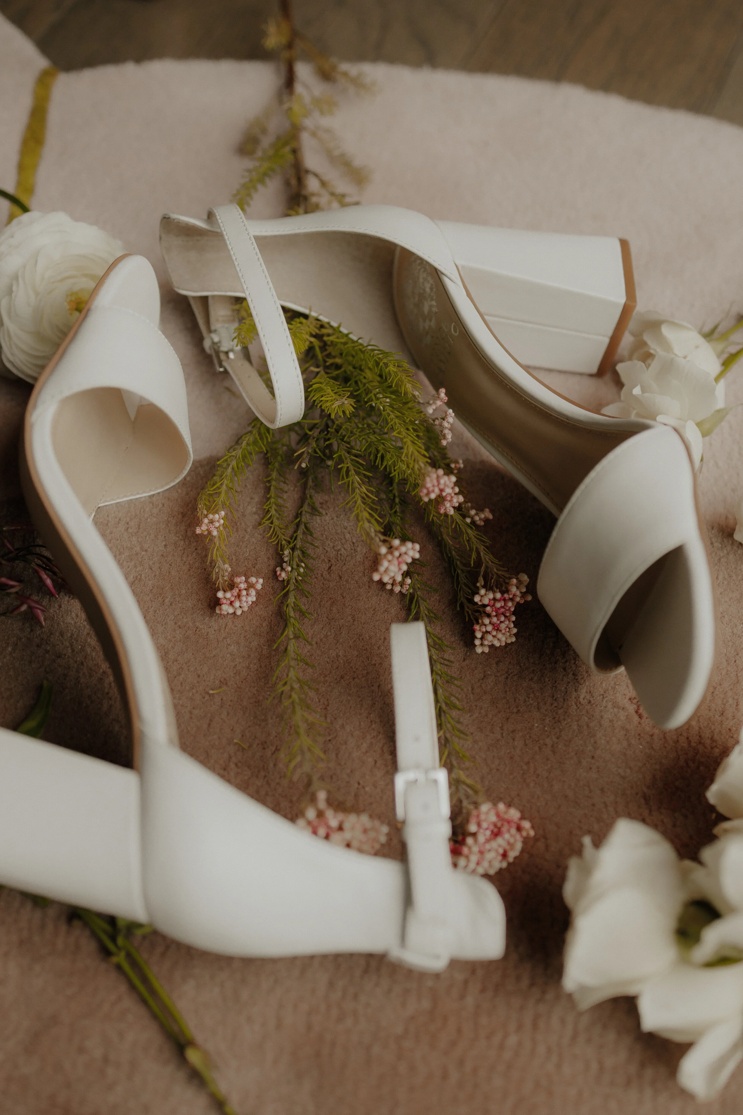 Katherine Larson Photography