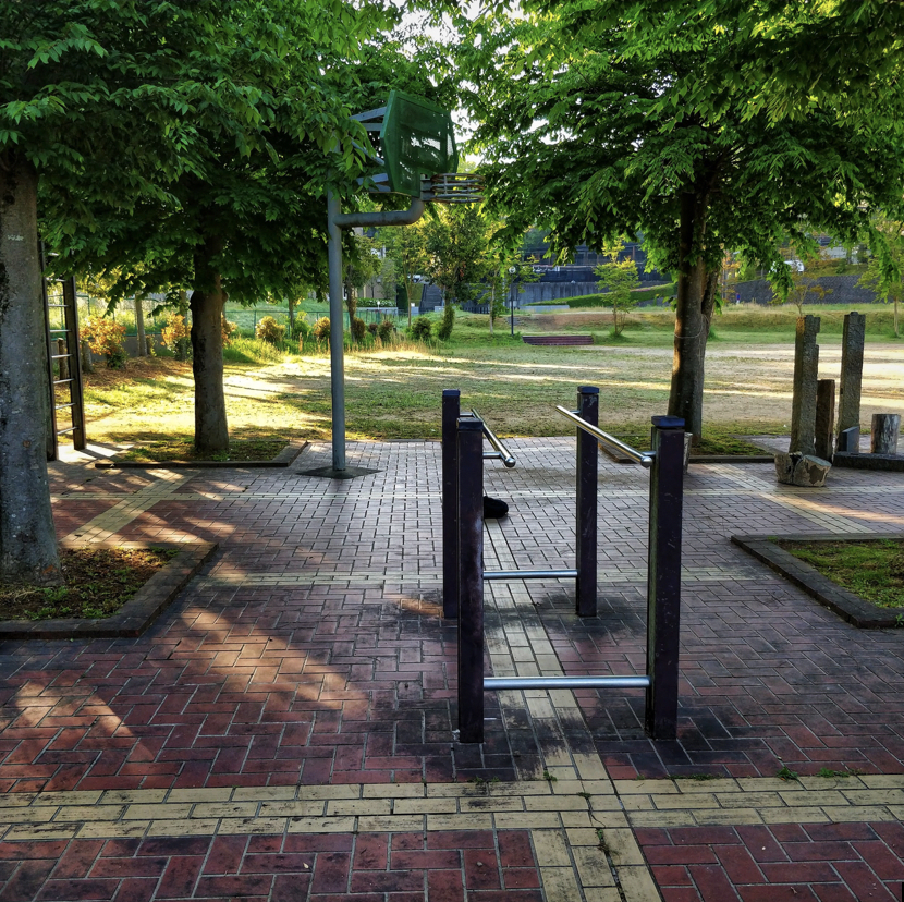 Staying Fit in Japan — Come On Out - Japan