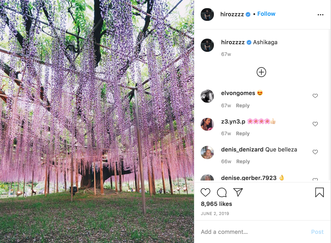 Insta-Japan: 6 Instagram Accounts to Follow for a Glimpse of Japan ...