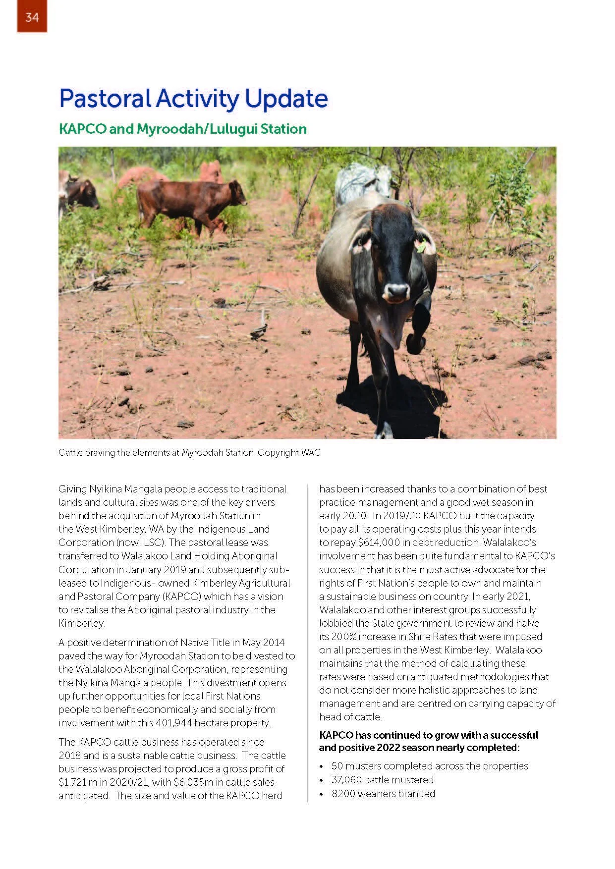 Annual Report 2021-2022 — Walalakoo Aboriginal Corporation RNTBC