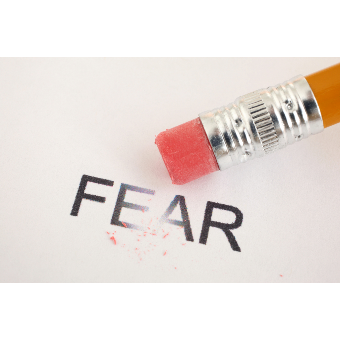 Thanks fear, I’ll take it from here — Dr Amy Silver - Leadership ...