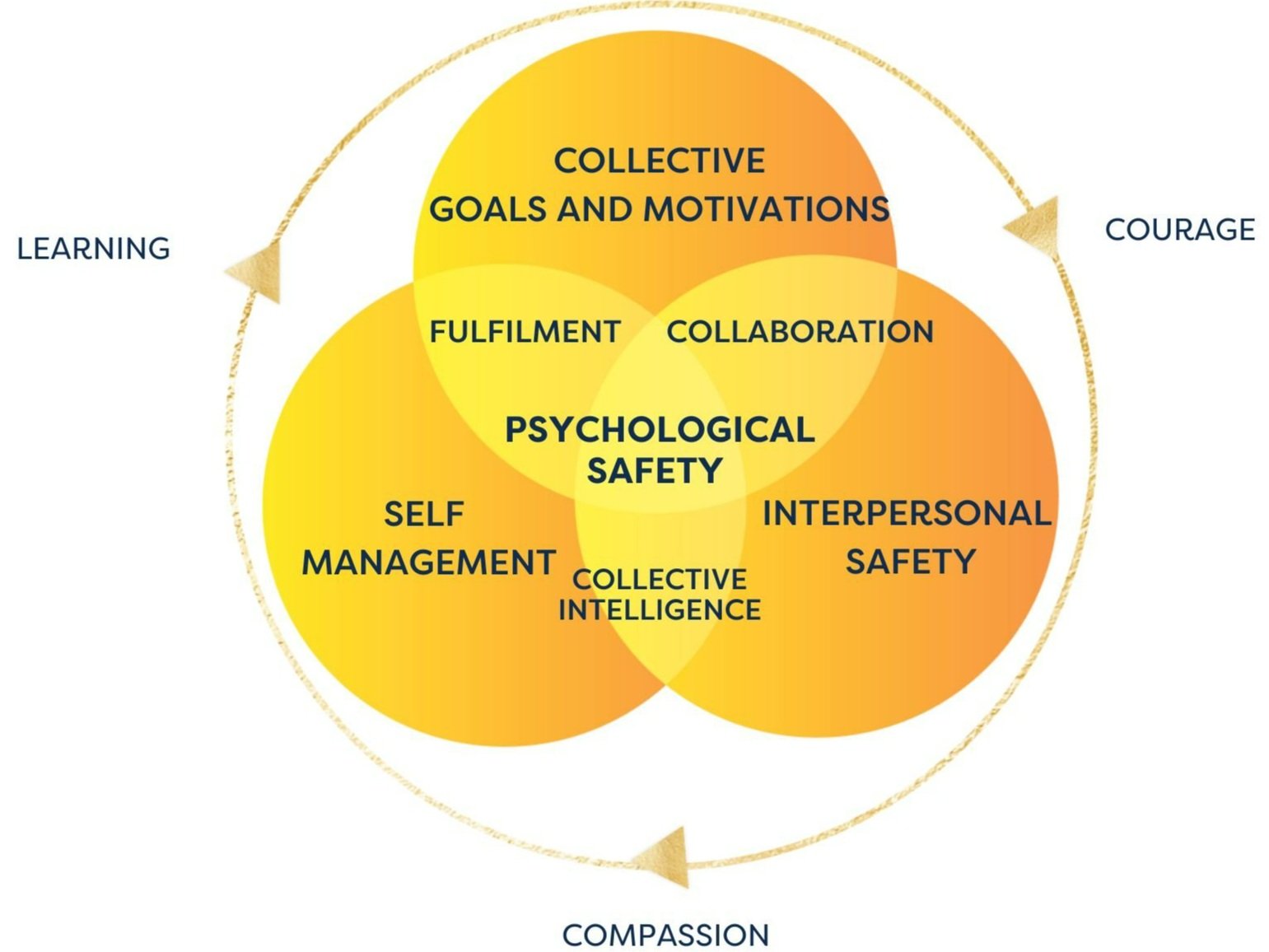 Traininggrouppsychsafety | Empower Teams Today - Learn How — Dr Amy ...