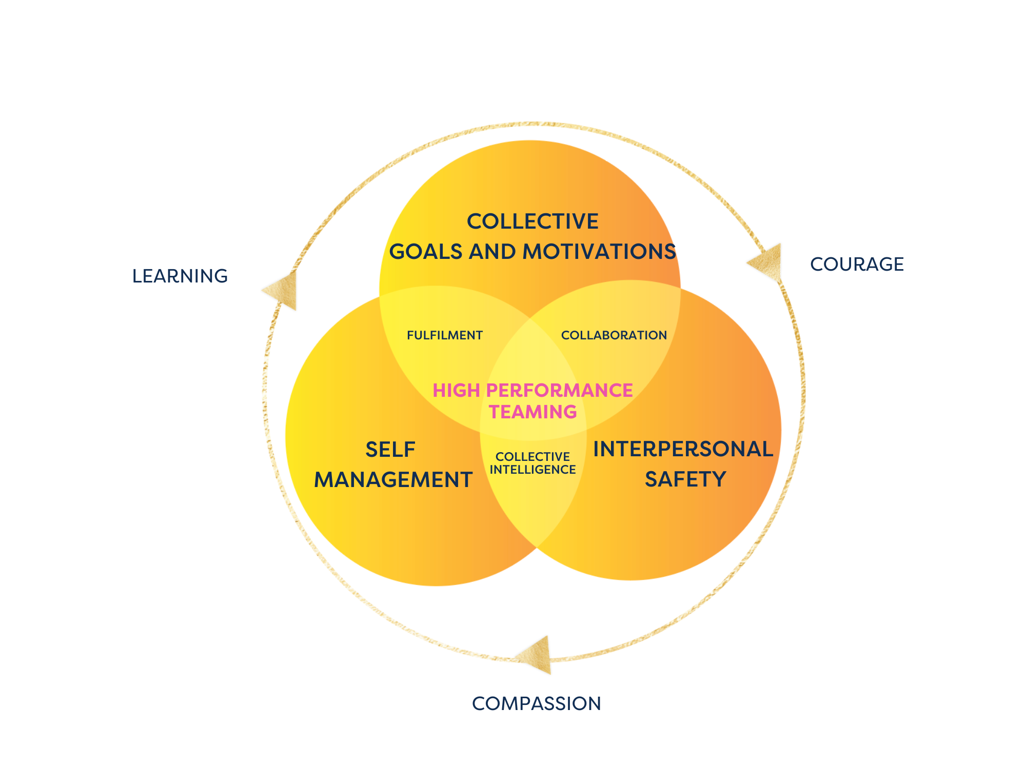 team coaching — Dr Amy Silver