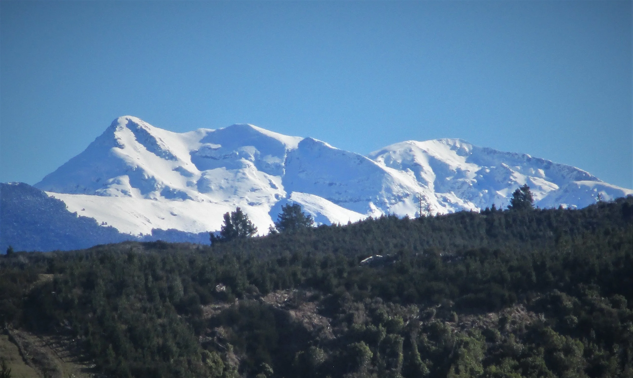 New Zealand — Nathan Dahlberg