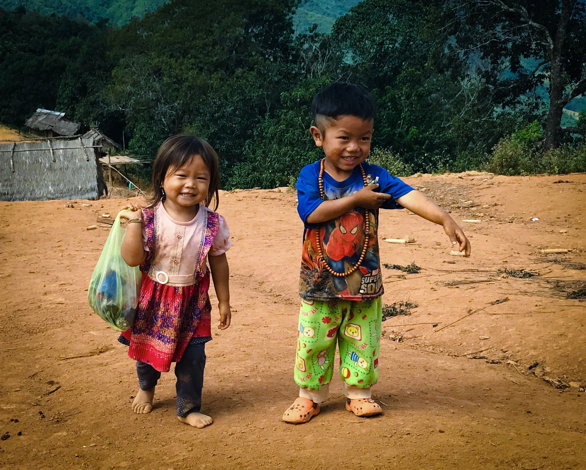 Hmong Village