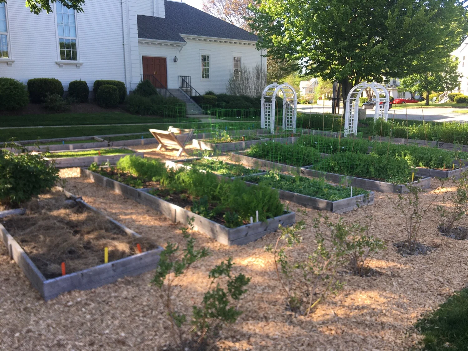 The Food Pantry Garden — Weymouth Food Pantry