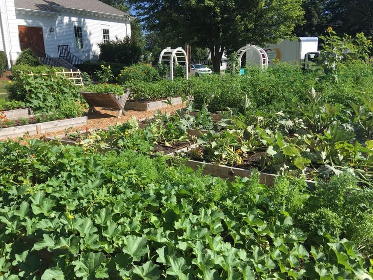 The Food Pantry Garden — Weymouth Food Pantry
