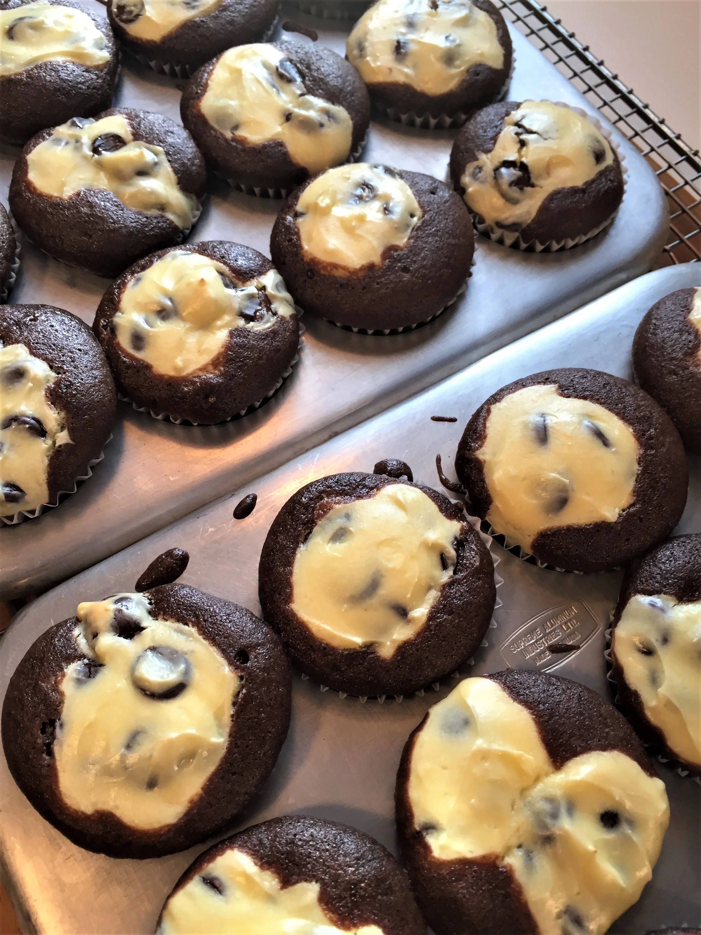 Chocolate Cheesecake Cupcakes — Kitchen Bliss