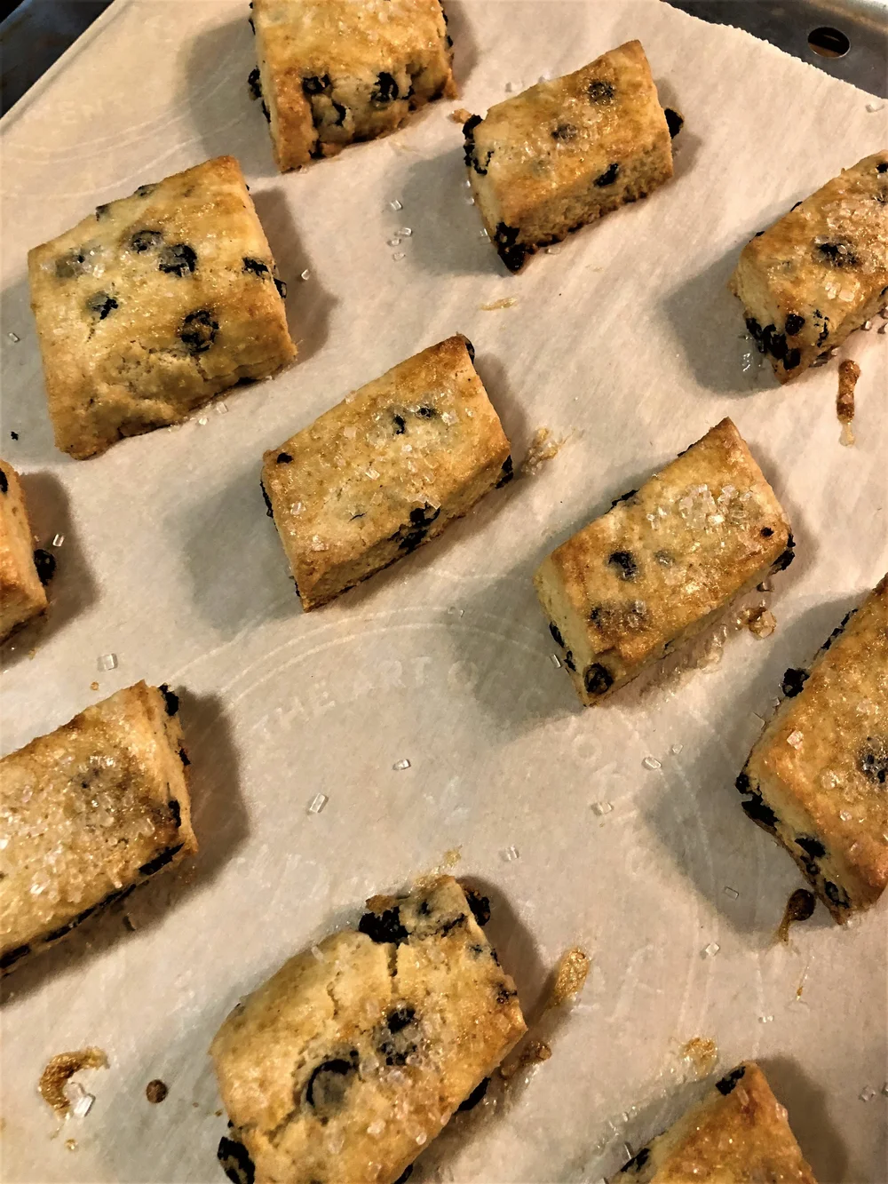 Zaleti - Venetian Cornmeal Cookies — Kitchen Bliss