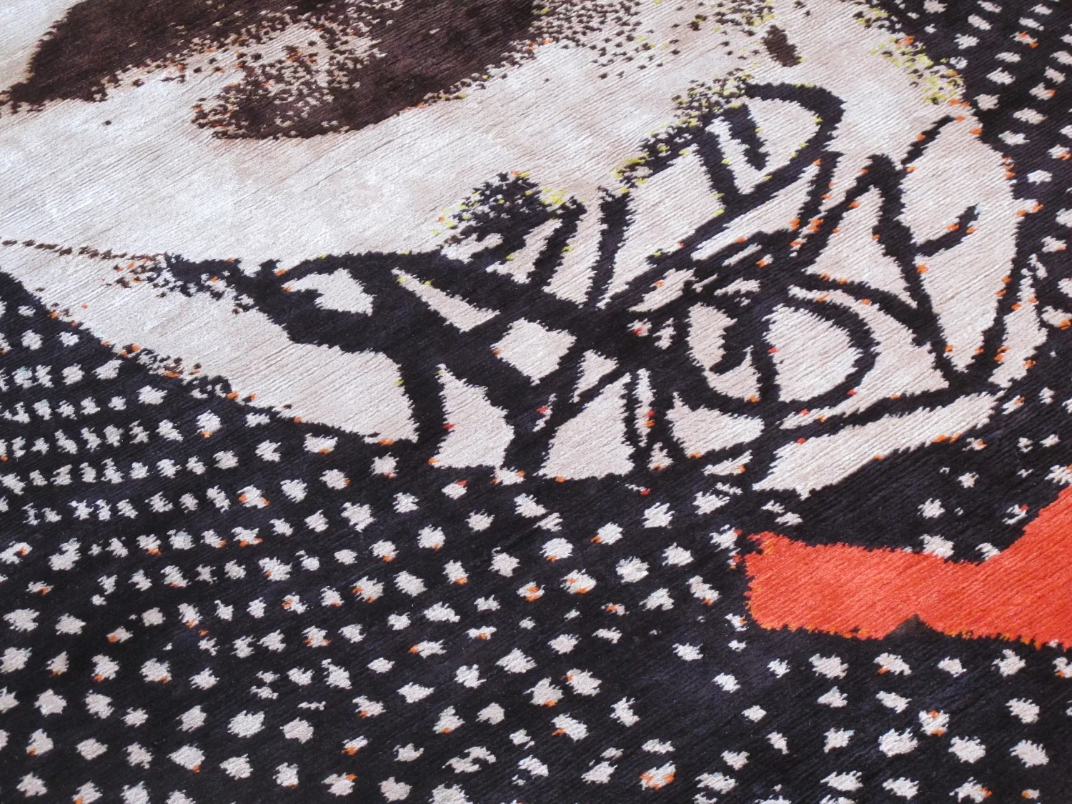 Dain — CARINI
