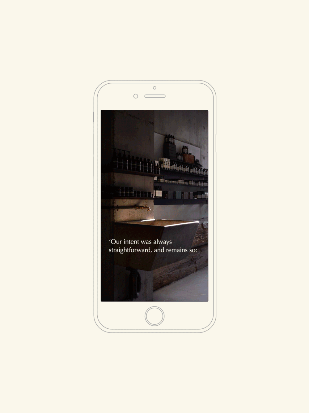 Aesop Book Campaign — Lauren Hodges