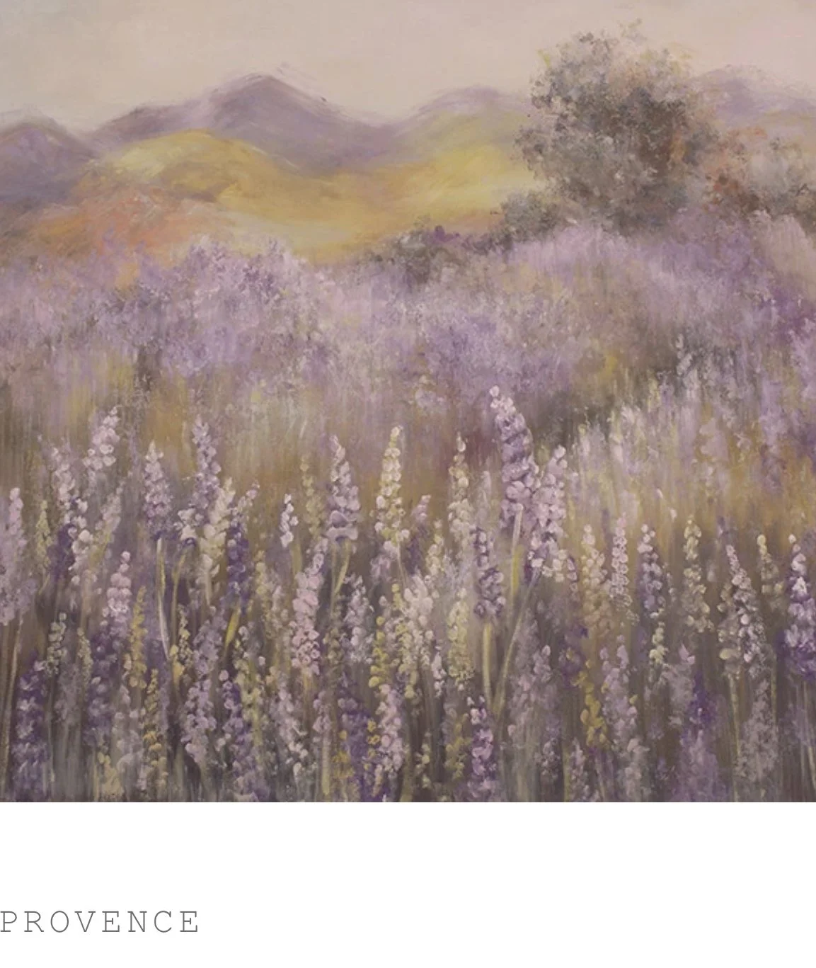 Large Backdrops for Groups — Photography By Altheia